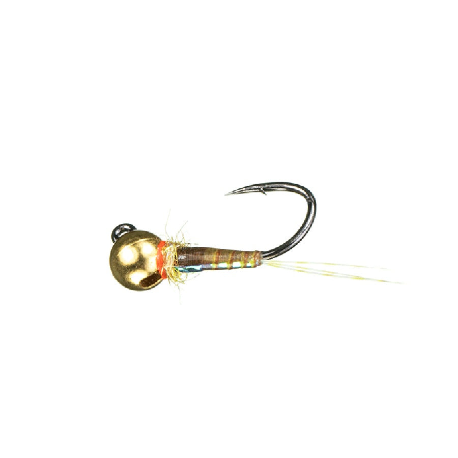 MFC Flies Jig Fullback Napoleon Nymph | Freshwater Trout Flies – Fish Tales Fly Shop