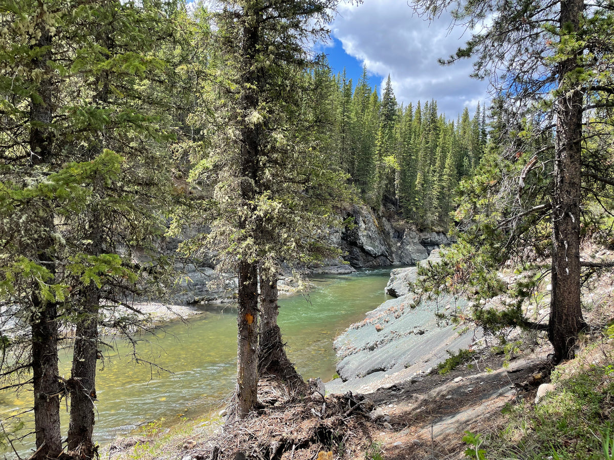 Eastern Slopes Essentials – Fish Tales Fly Shop