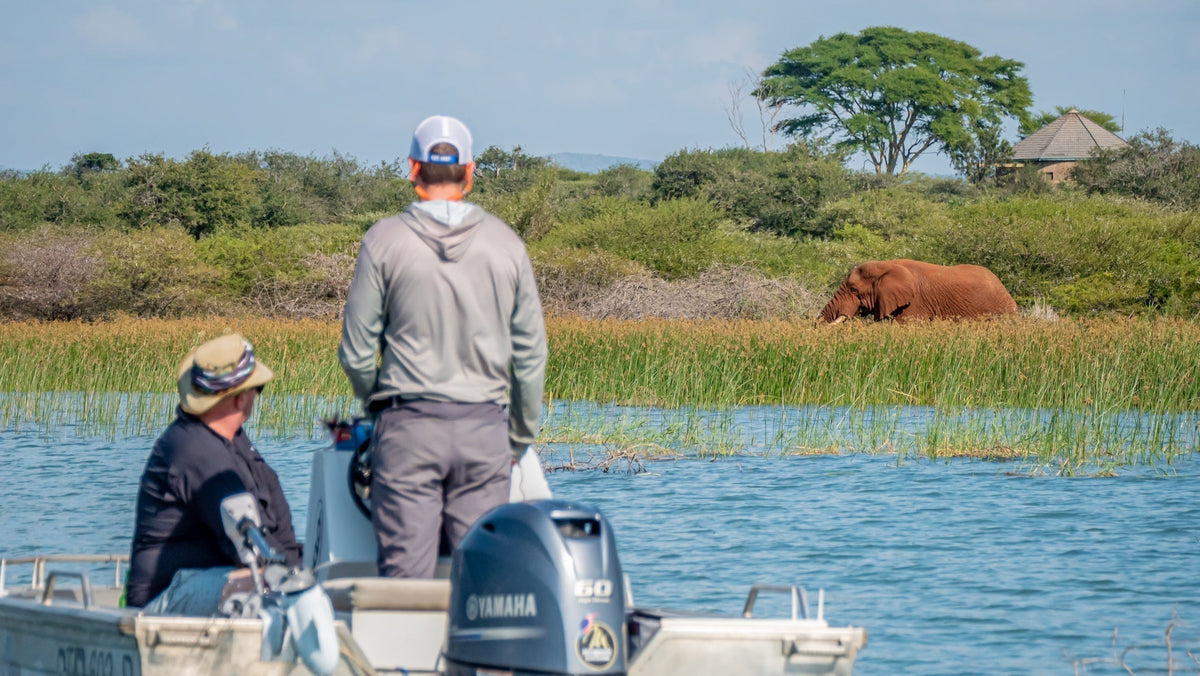 South Africa Tiger Fishing - October 2027 – Fish Tales Fly Shop