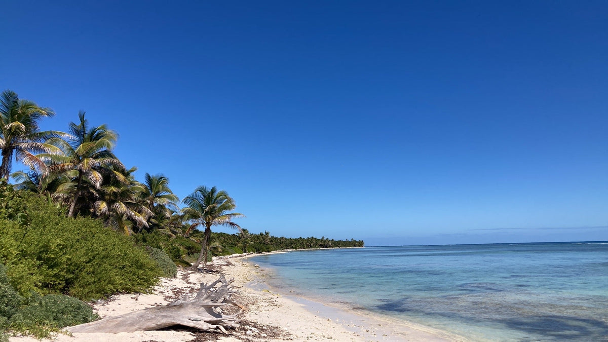 Rocky Point Permit Camp - Belize DIY DESTINATION – Fish Tales Fly Shop