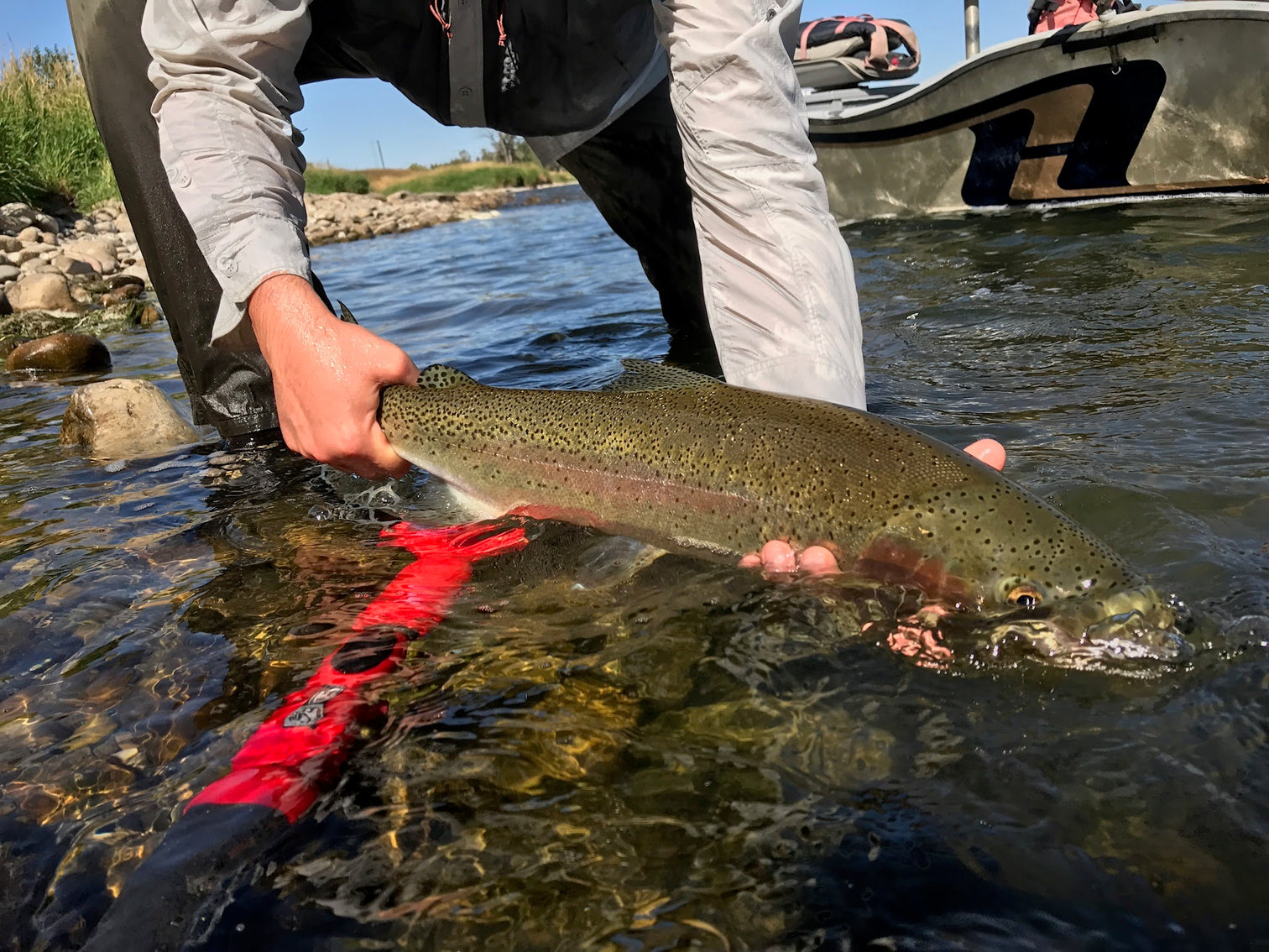 Bow River Calgary Guided Fly Fishing Trips | Fish Tales Float Trips ...