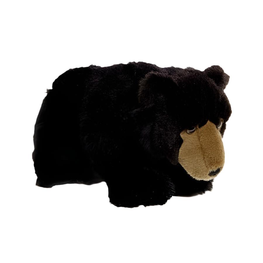 Cabin Critters Rocky Mountain Animal Stuffies | Ecology Toys and Games ...