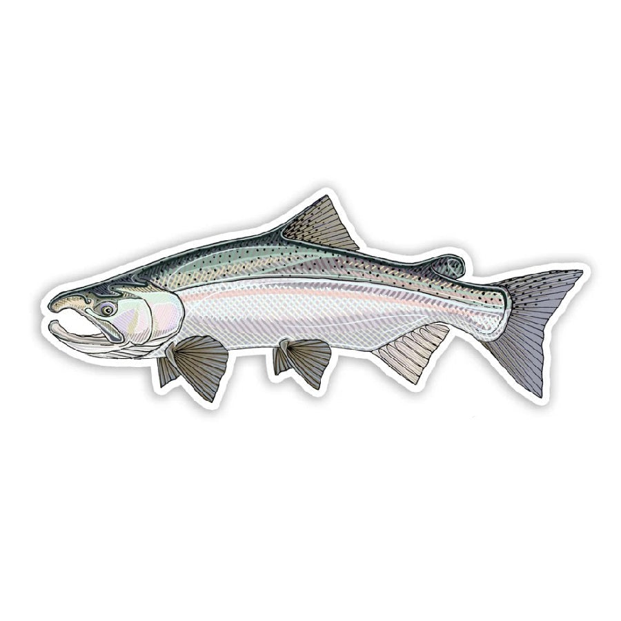 Casey Underwood Coho Salmon Decal | Fly Fishing Stickers – Fish Tales ...