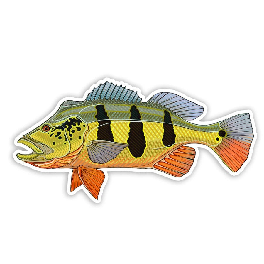 Casey Underwood Peacock Bass Decal | Fly Fishing Decals – Fish Tales ...
