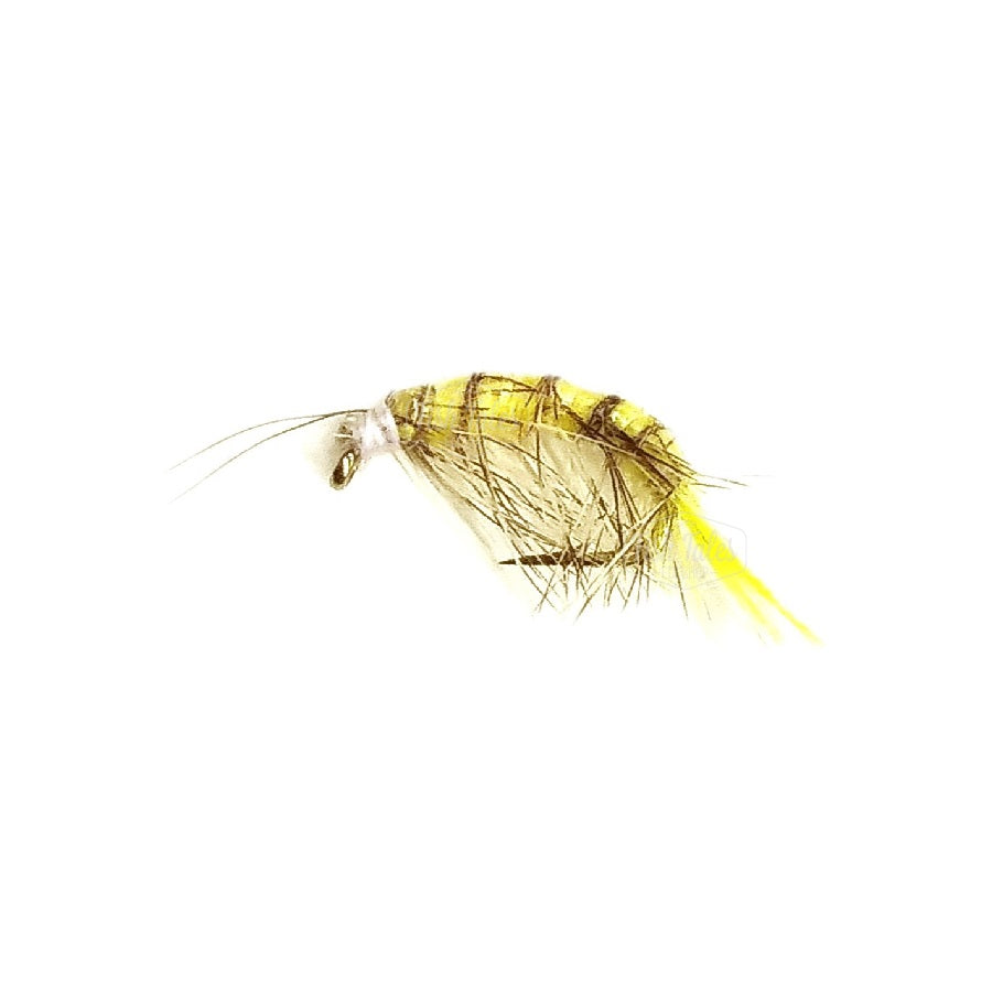 Catch Flies Stillwater Shrimp Fly | Freshwater Trout Flies – Fish Tales ...
