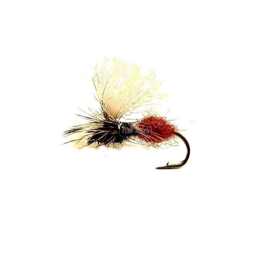 Freestone Flies Disco Ant Dry Fly | Freshwater Trout Flies – Fish Tales ...