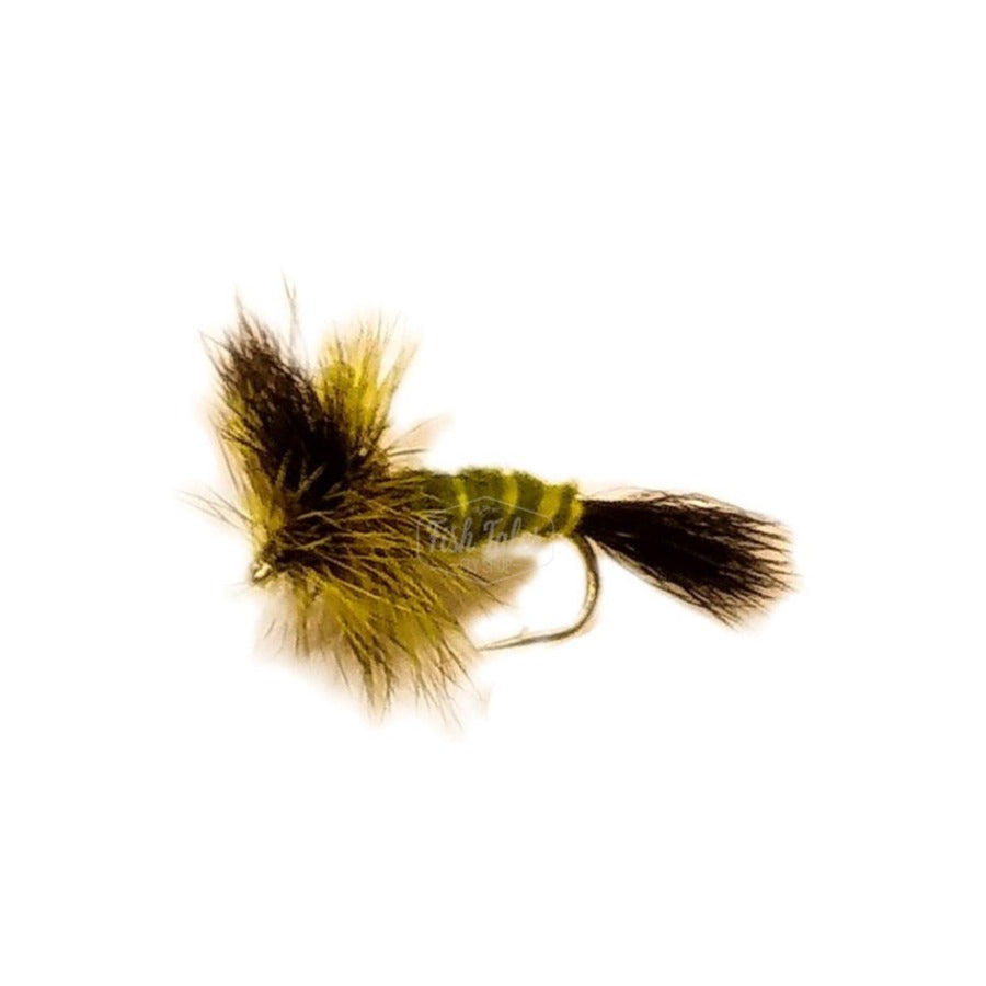 SB Flies Western Green Drake Dry Fly | Topwater Trout Flies – Fish ...
