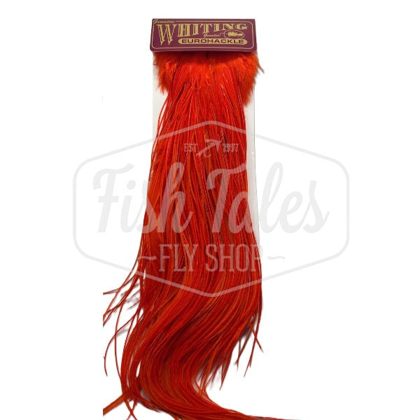 Whiting Farms Euro Hackle Full Saddle | Fly Tying Dry Fly Feathers ...