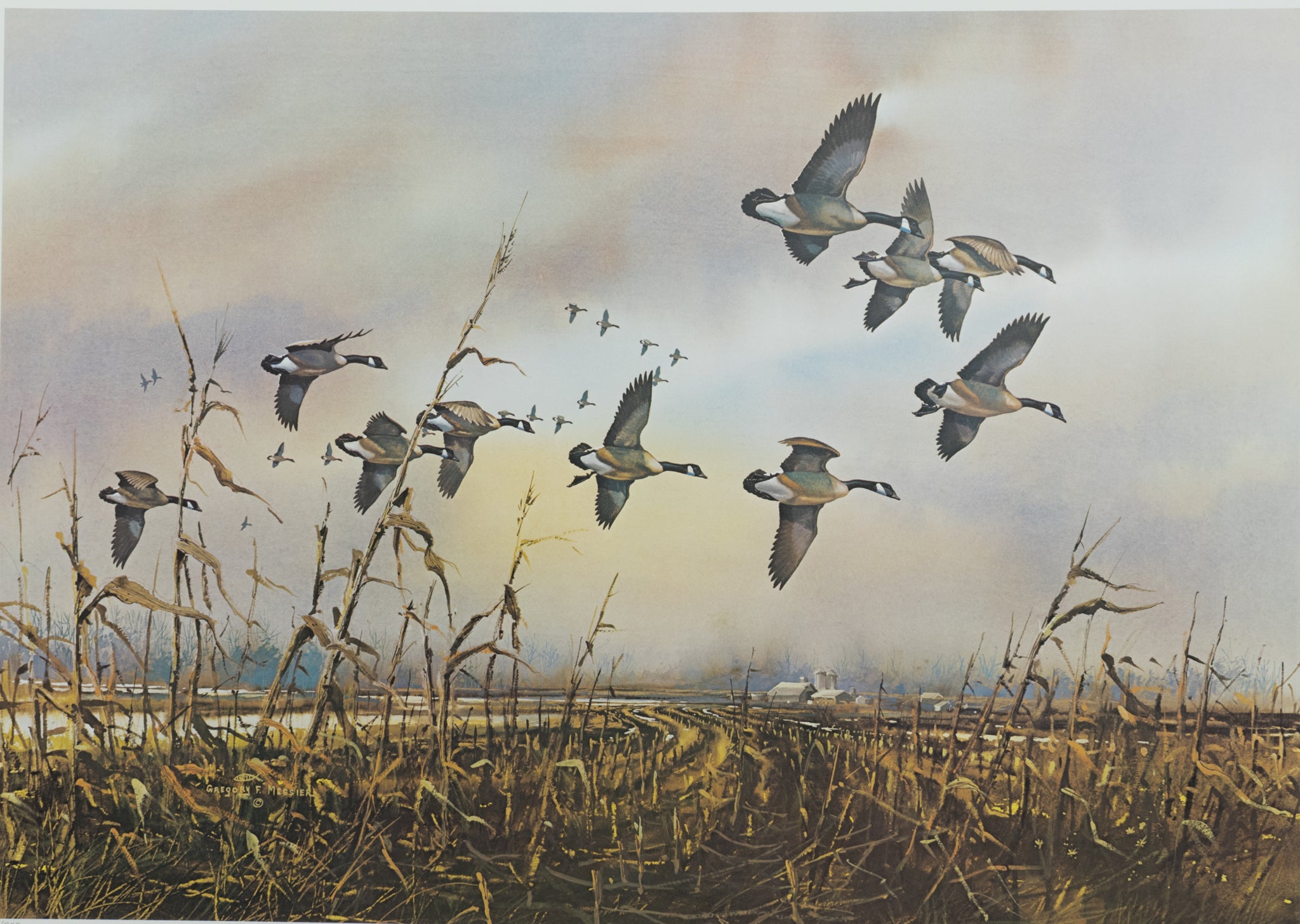Gregory F. Messier - Over the Stubble Canada Geese - Fine Art Print ...