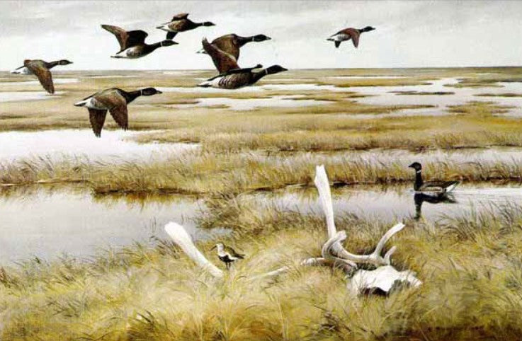 Maynard Reece - Tundra Black Brant - Fine Art Print – Fish Tales Fly Shop
