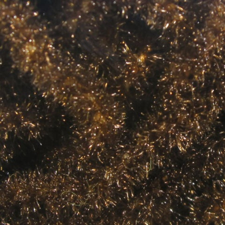 Hareline Trilobal Antron Chenille – Fish Tales Fly Shop