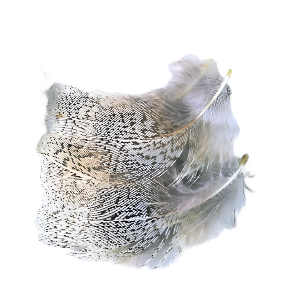 Veniard English Partridge Grey Neck Feathers | Fly Tying Materials ...